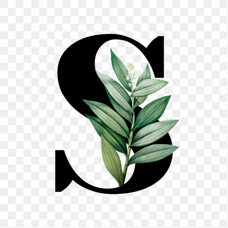 Black S Letter PNG Images | Free Photos, PNG Stickers, Wallpapers ...