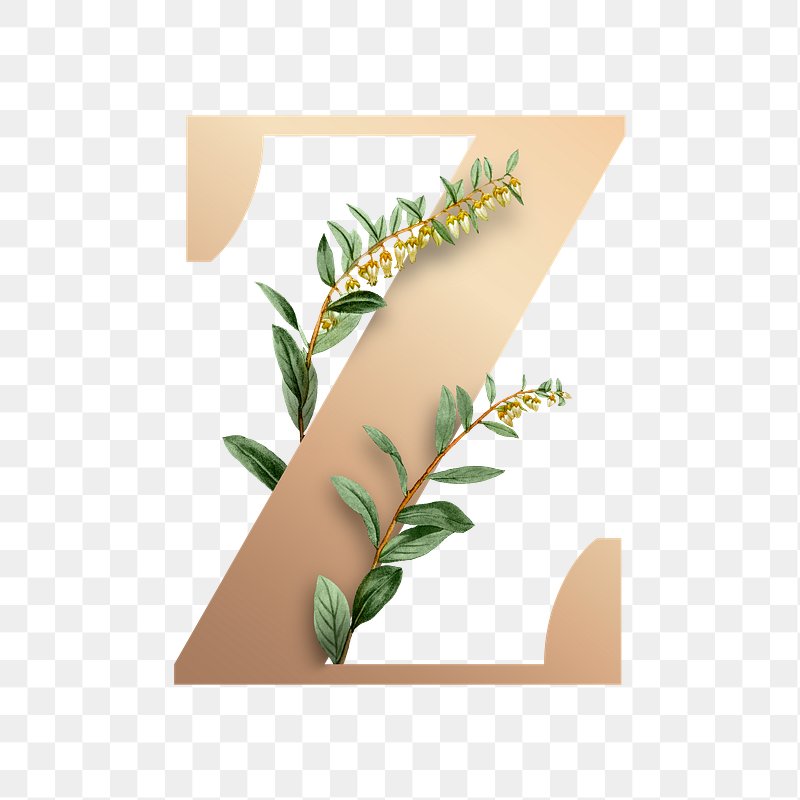 Botanical capital letter Z transparent | Free PNG Sticker - rawpixel