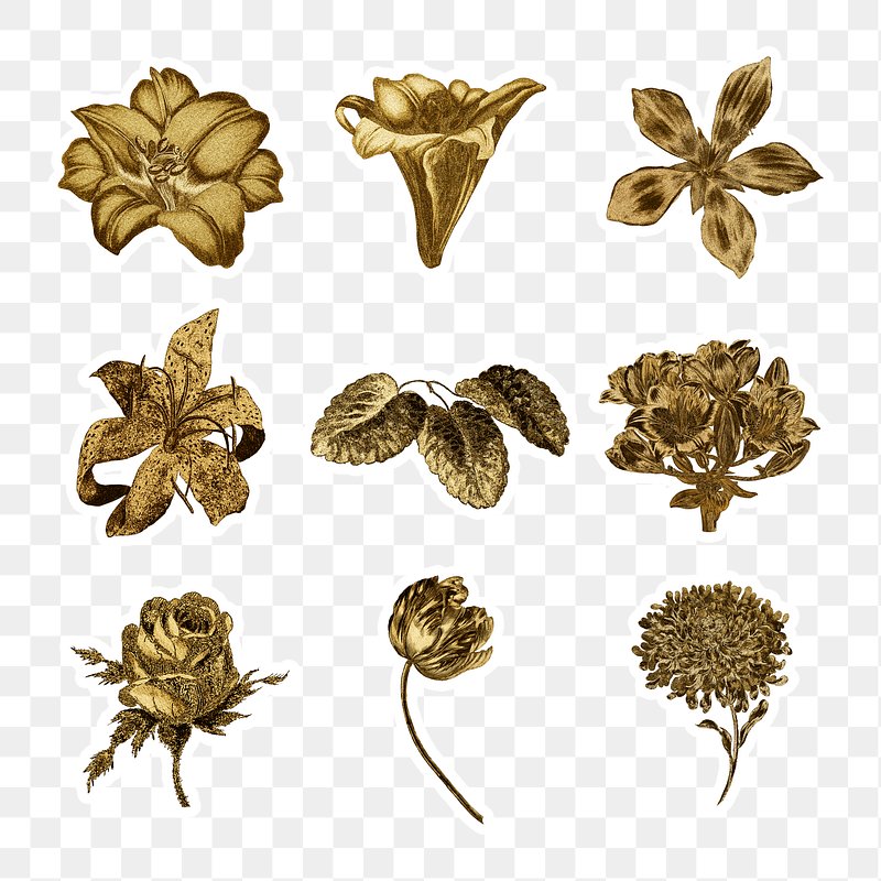 Gold Flower Outline Transparent PNG Images | Free Photos, PNG Stickers ...