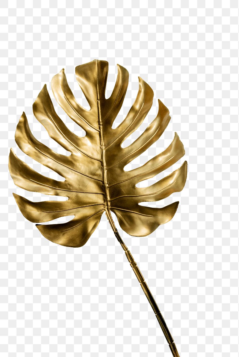 Monstera Gold Images | Free Photos, PNG Stickers, Wallpapers ...