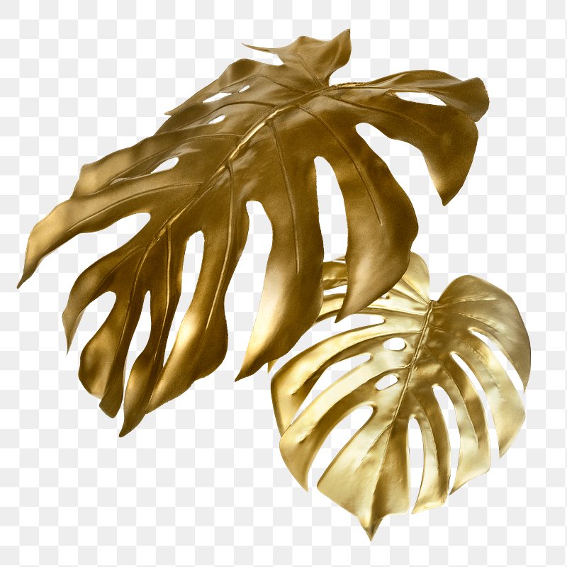 Monstera Gold Images | Free Photos, PNG Stickers, Wallpapers ...