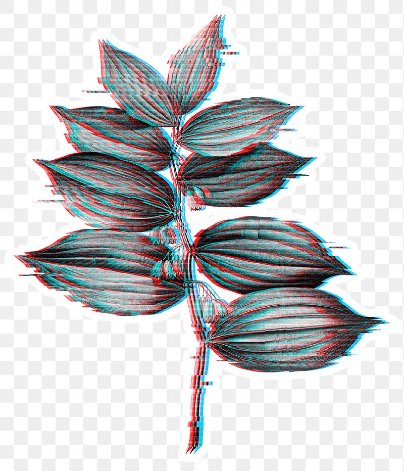Glitch Flower Images | Free Photos, PNG Stickers, Wallpapers ...
