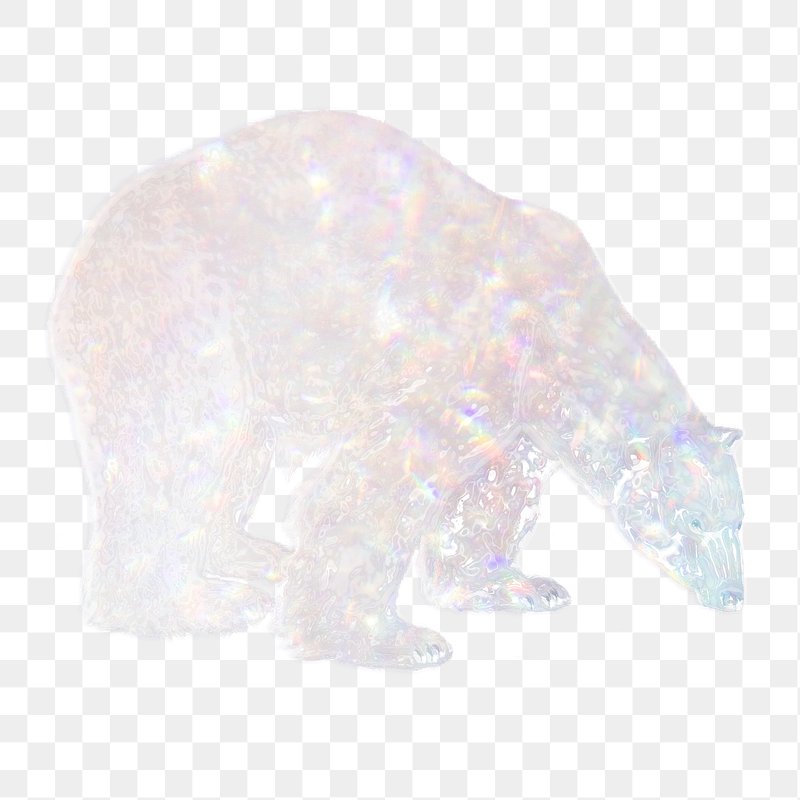 Bear Holographic Images | Free Photos, PNG Stickers, Wallpapers ...