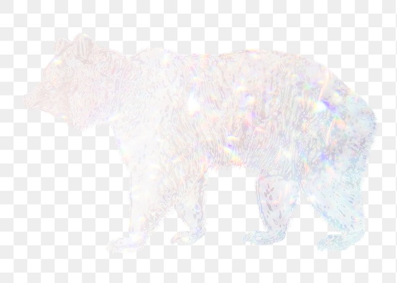 Bear Holographic Images | Free Photos, PNG Stickers, Wallpapers ...