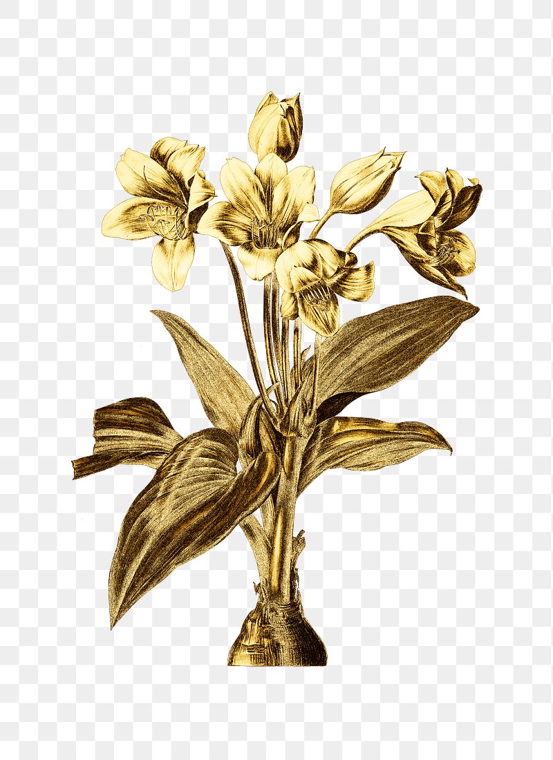 Flower Matte Images | Free Photos, PNG Stickers, Wallpapers ...