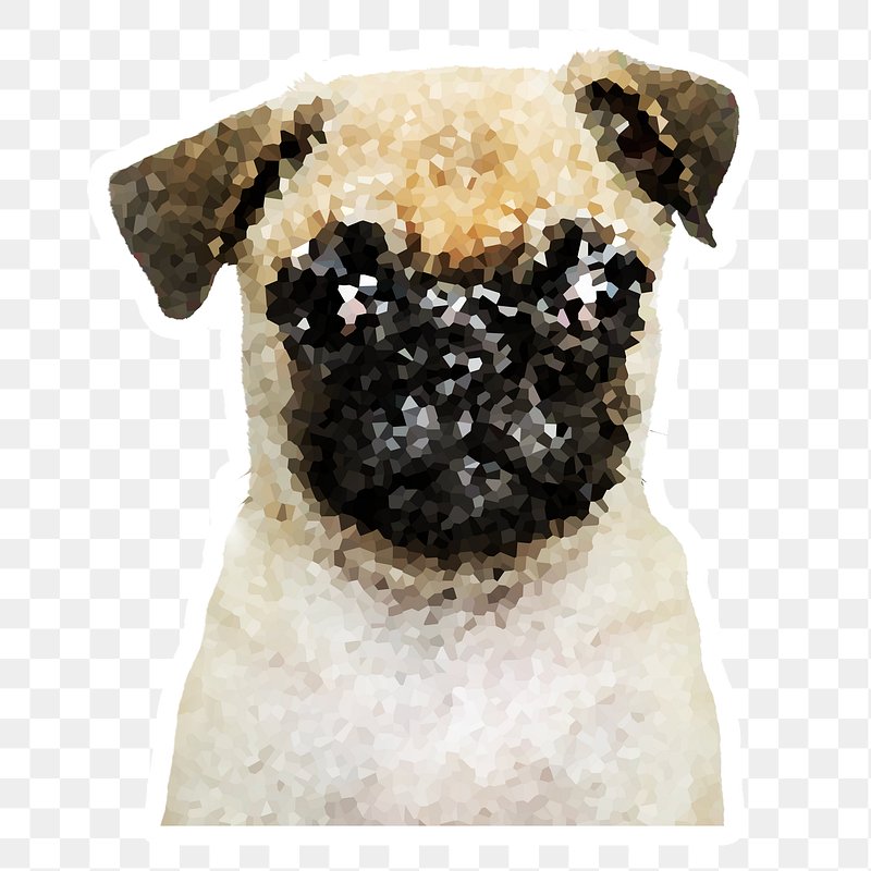 Free Stock Photos, PNGs, Templates & Mockups | rawpixel