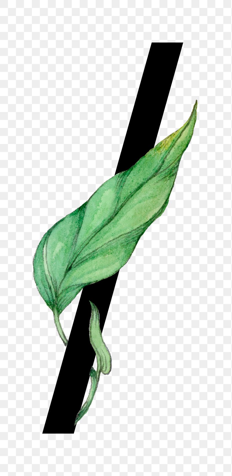 Slash Sign Floral Images | Free Photos, PNG Stickers, Wallpapers ...