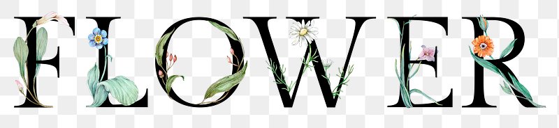 Png flower word floral font | Free PNG Sticker - rawpixel
