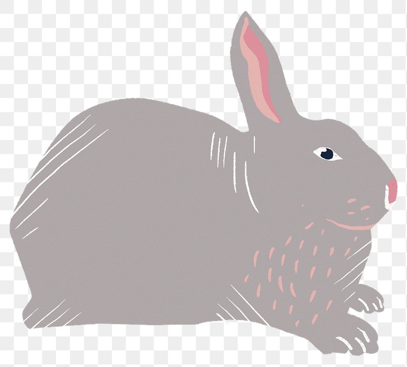 Hand Drawn Rabbit PNG Images | Free Photos, PNG Stickers, Wallpapers ...