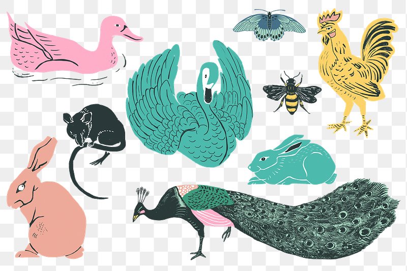 Vintage Rat PNG Images | Free Photos, PNG Stickers, Wallpapers ...