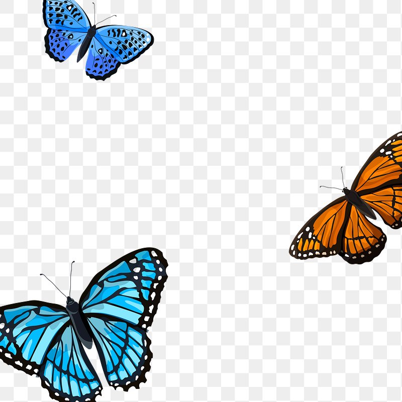 Blue Morpho Butterfly PNG Images | Free Photos, PNG Stickers ...