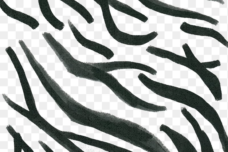 Zebra Print PNG Images | Free Photos, PNG Stickers, Wallpapers ...