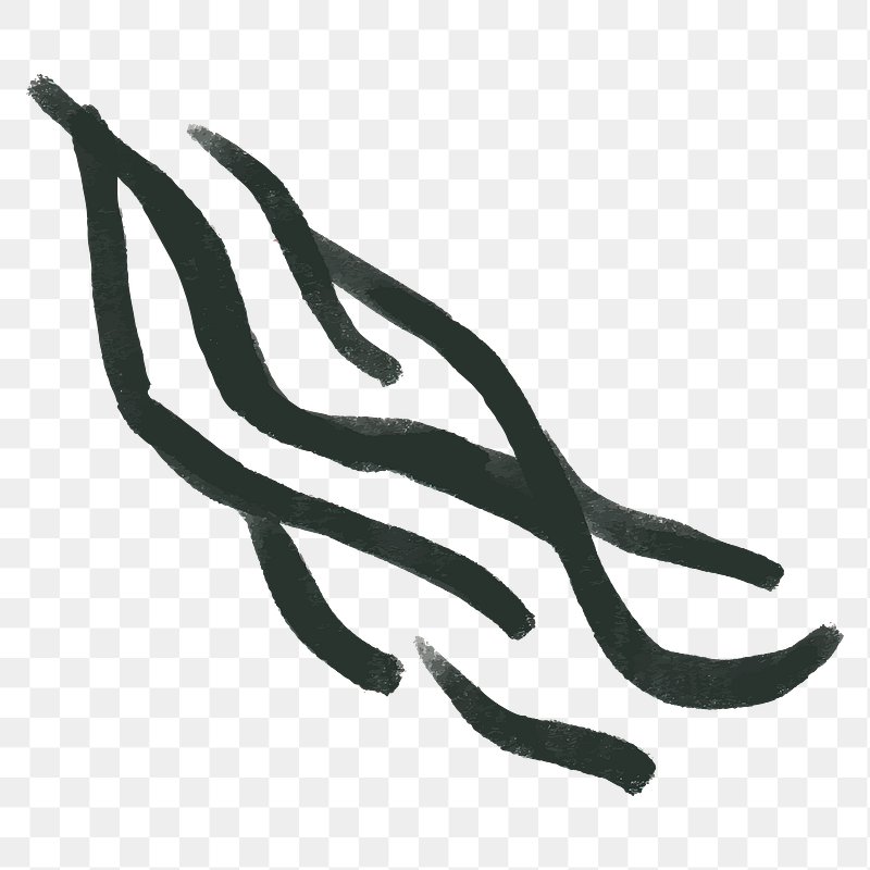 Zebra Print PNG Images | Free Photos, PNG Stickers, Wallpapers ...