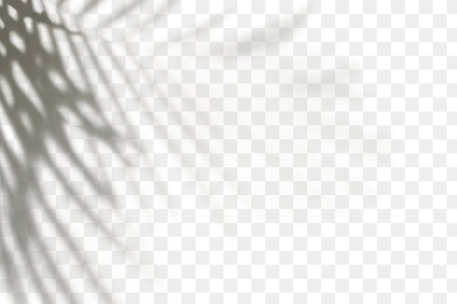 Plant Shadow PNG Images | Free PNG Vector Graphics, Effects ...