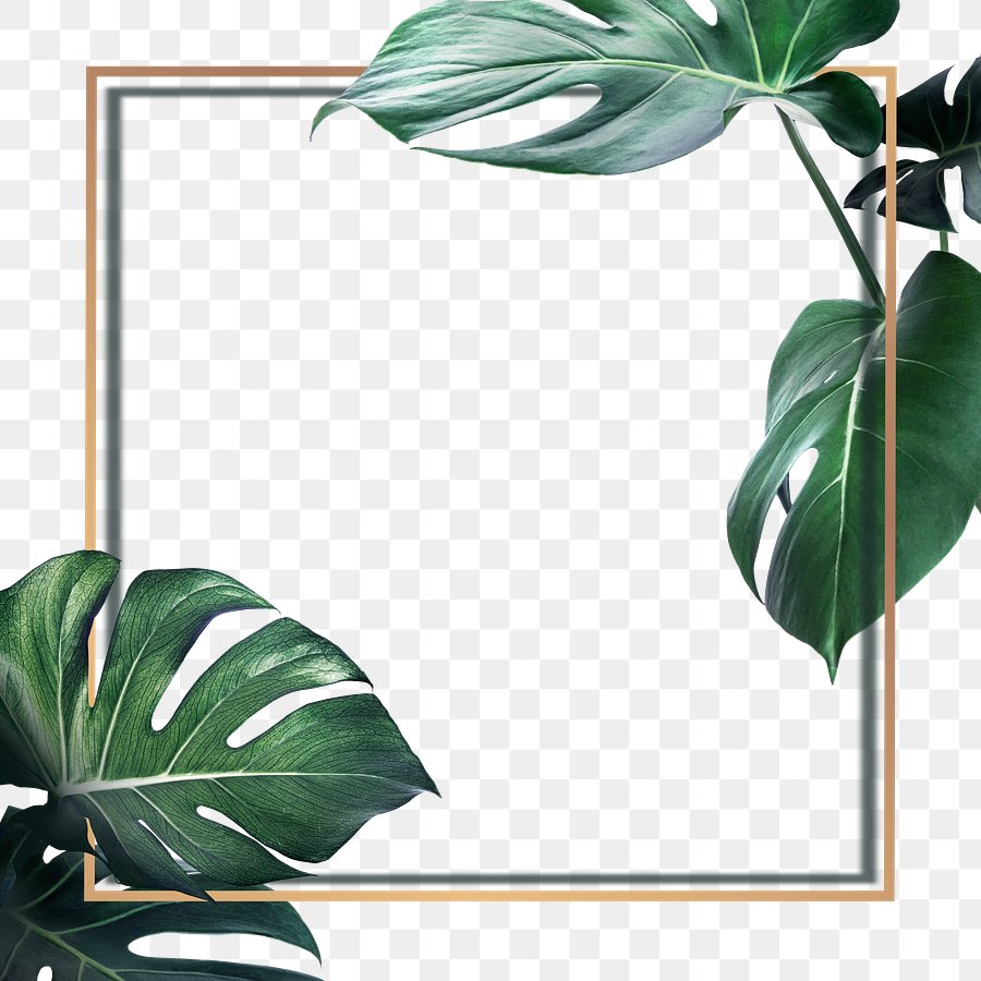 Frame Designs | Free Vector Graphics, Clip Art, PSD & PNG Frames ...