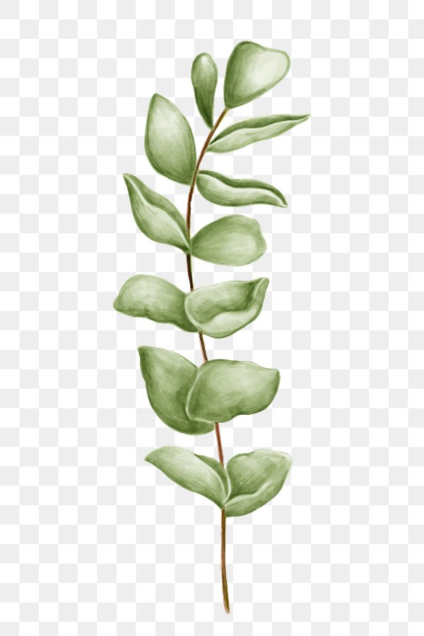 Greenery Images | Free HD Backgrounds, PNGs, Vectors & Templates - rawpixel