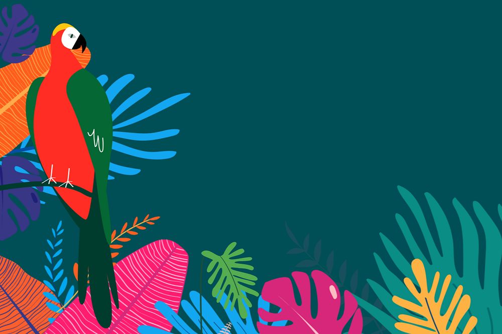 Colorful summer parrot border background, | Premium Editable Design ...