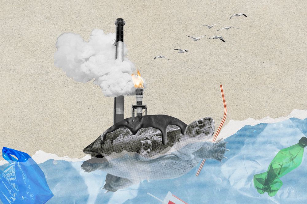 Swimming turtle environment background, polluted | Premium Collage ...