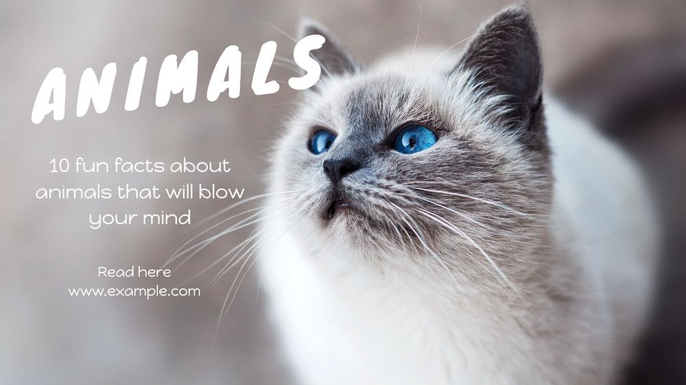 Animal blog banner template, editable | Premium Editable Template ...