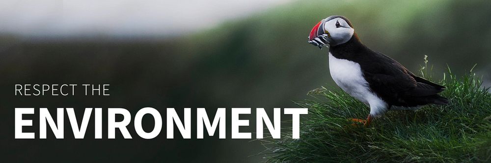 Respect environment template puffin nature | Premium Editable Template ...