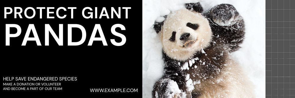 Protect giant panda email header | Free Editable Template - rawpixel