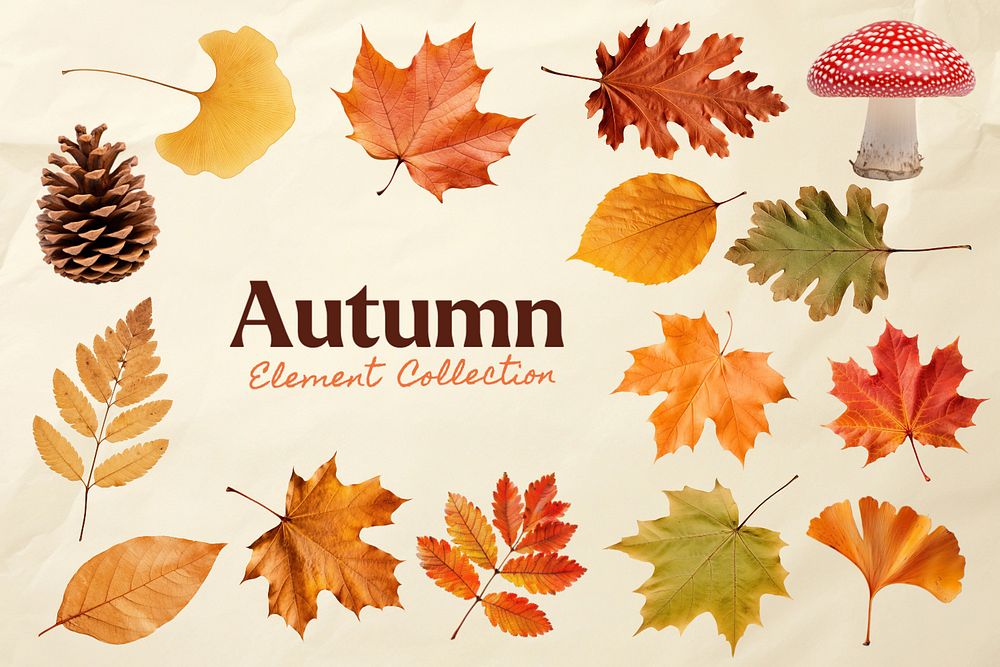 Editable Autumn leaf plant design | Premium Editable Design - rawpixel