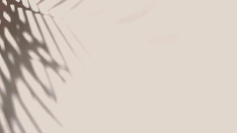 Palm leaf shadow animated overlay, | Free Transparent Video - rawpixel