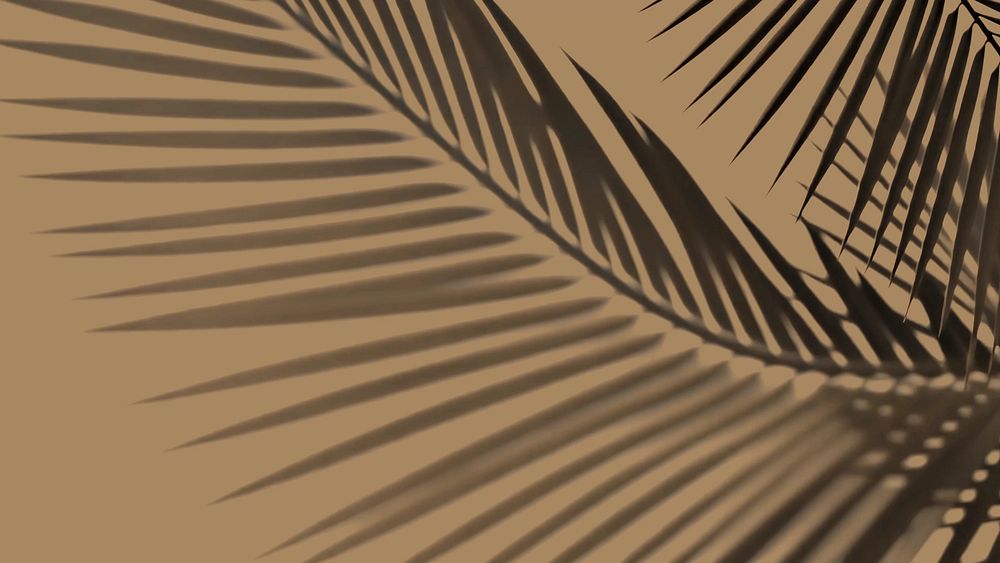 Tropical leaf shadow pattern animated | Free Transparent Video - rawpixel