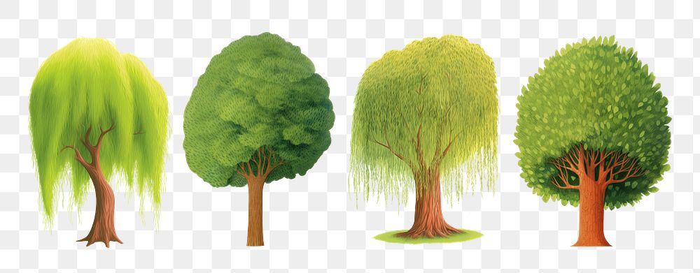Cute cartoon trees png element | Premium PNG - rawpixel
