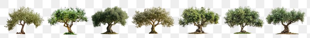 Seven diverse trees row png | Premium PNG - rawpixel