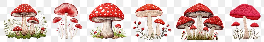 Autumn embroidery png cut element | Premium PNG - rawpixel