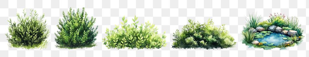 Spring garden png cut element | Premium PNG - rawpixel