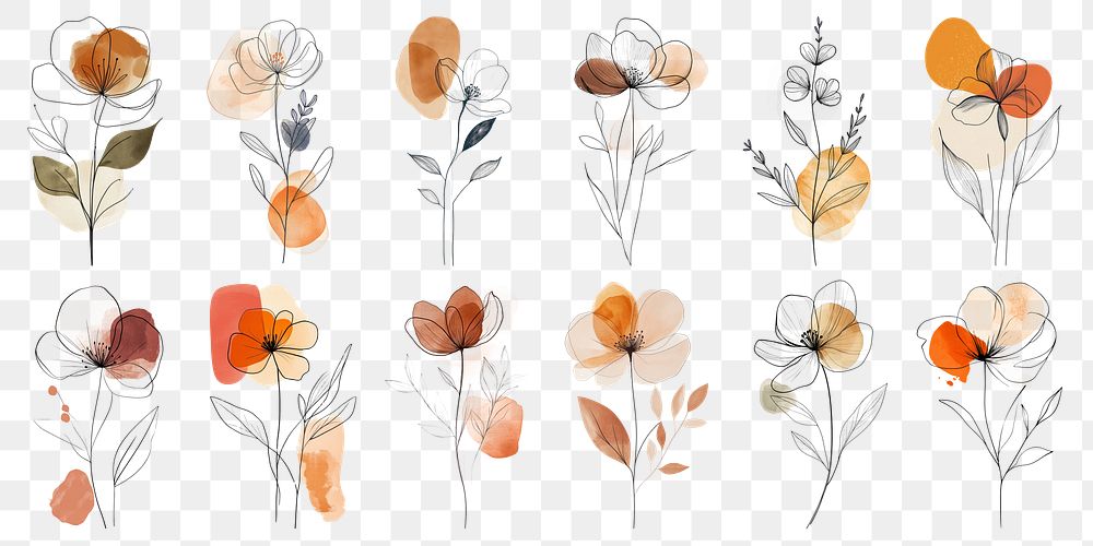 PNG Aesthetic line art flower, | Premium PNG - rawpixel