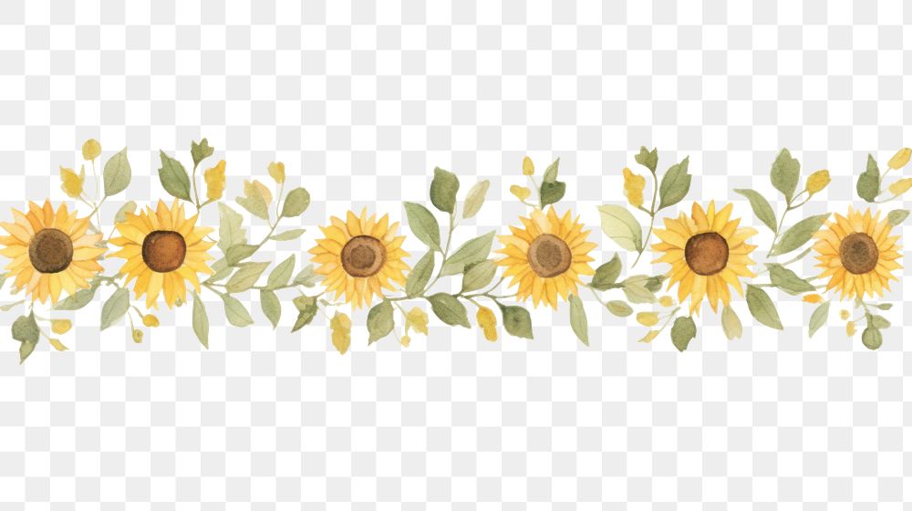 PNG Sunflowers as divider watercolor | Free PNG - rawpixel