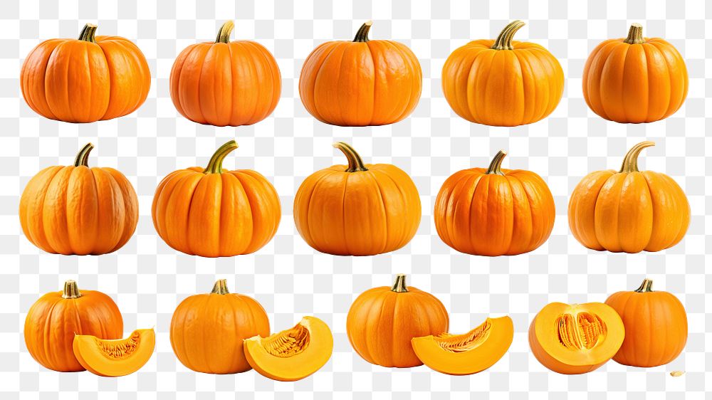 PNG pumpkin element set, transparent | Premium PNG - rawpixel