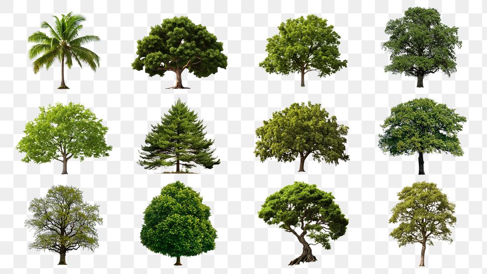 Green tree elements png cut | Premium PNG - rawpixel