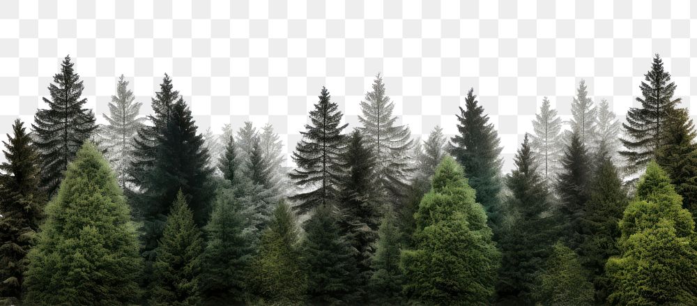 Green Mist PNG Images | Free Photos, PNG Stickers, Wallpapers ...