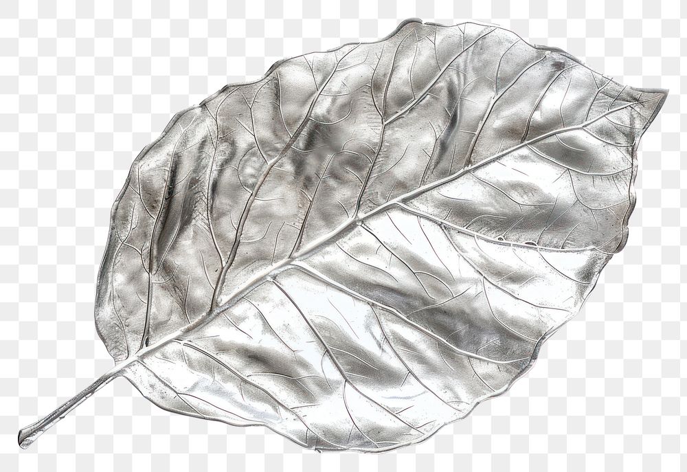 Silver Leaves Background Images | Free Photos, PNG Stickers, Wallpapers ...