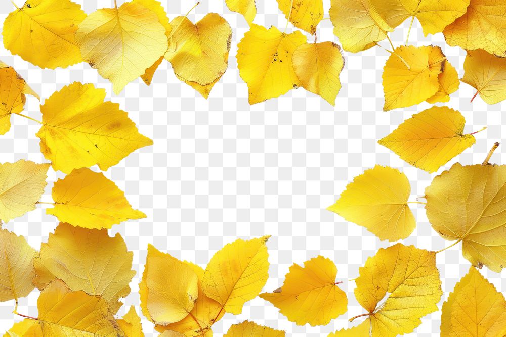 Round Color Paper Background Images | Free Photos, PNG Stickers ...