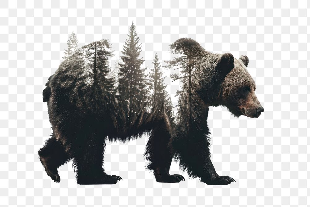 Lines On Black Background Images | Free Photos, PNG Stickers ...