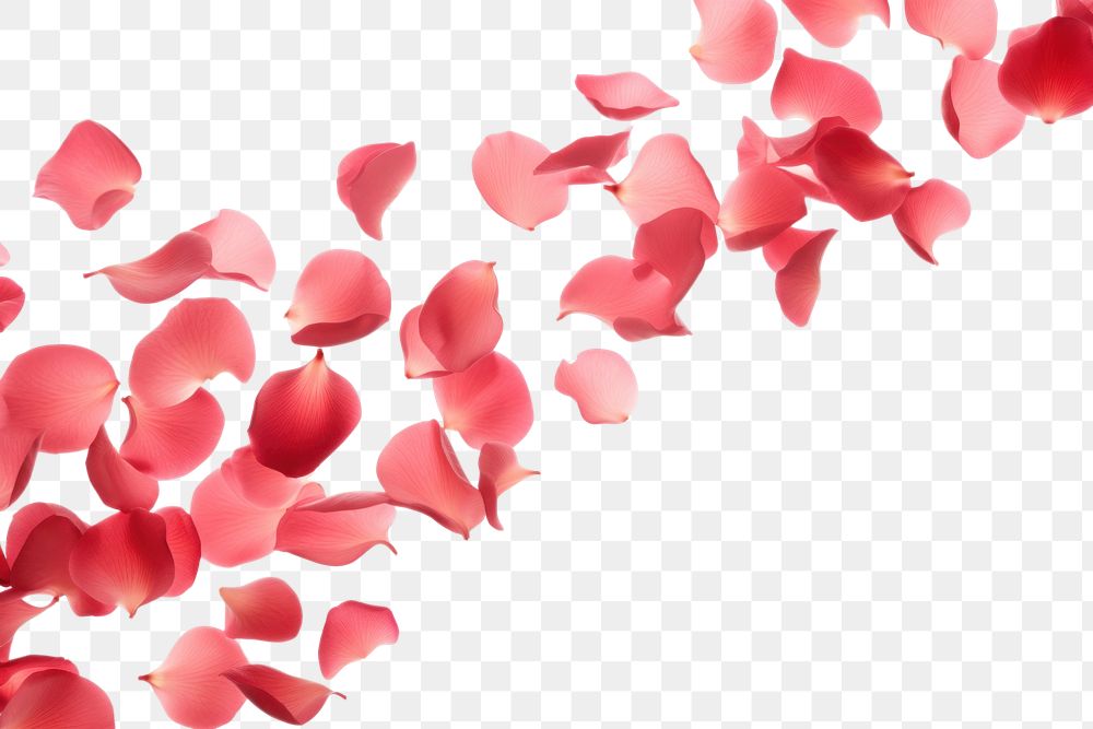 Floating red rose petals PNG | Free PNG - rawpixel