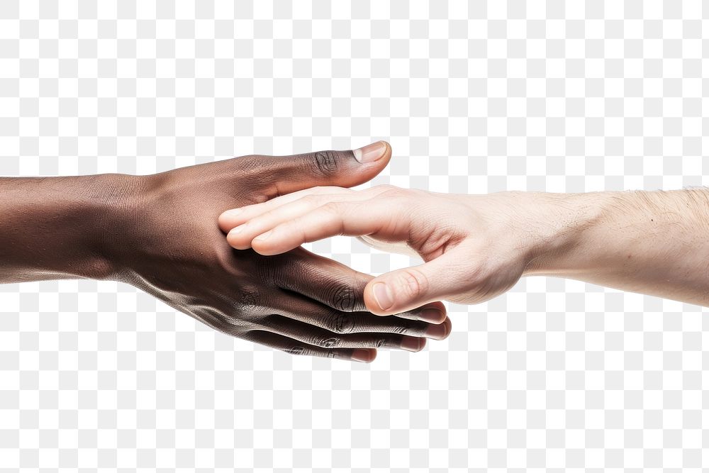 PNG Unity diverse hand touch | Premium PNG - rawpixel