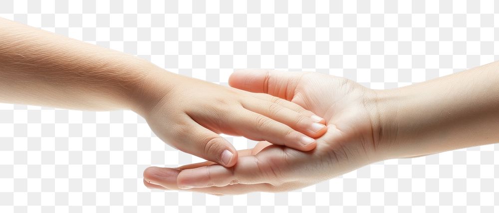PNG Child and adult hands | Free PNG - rawpixel