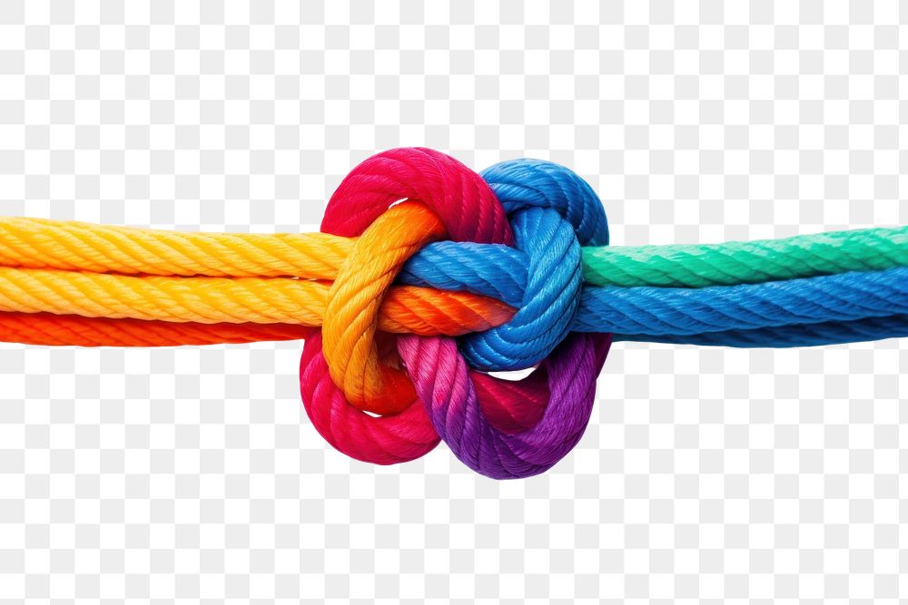 PNG Colorful ropes tied knot | Free PNG - rawpixel