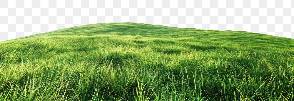 PNG Grassy Hill grass green | Free PNG - rawpixel