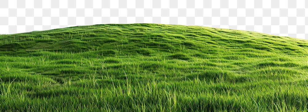 PNG Grassy Hill grass hill | Free PNG - rawpixel