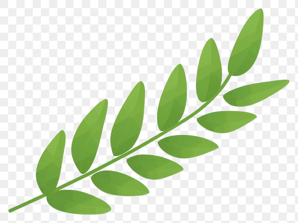 PNG Green leafy botanical vector | Free PNG - rawpixel