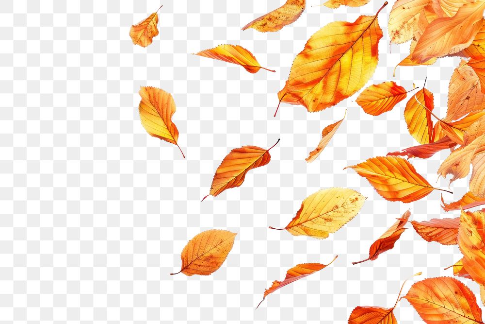 PNG Autumn falling leaves autumn | Premium PNG - rawpixel