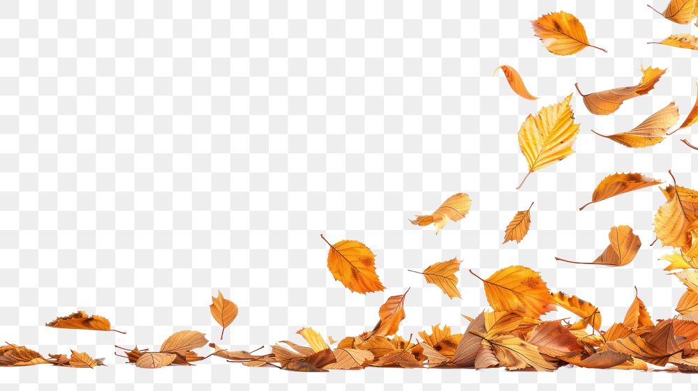 PNG Autumn falling leaves autumn | Free PNG - rawpixel