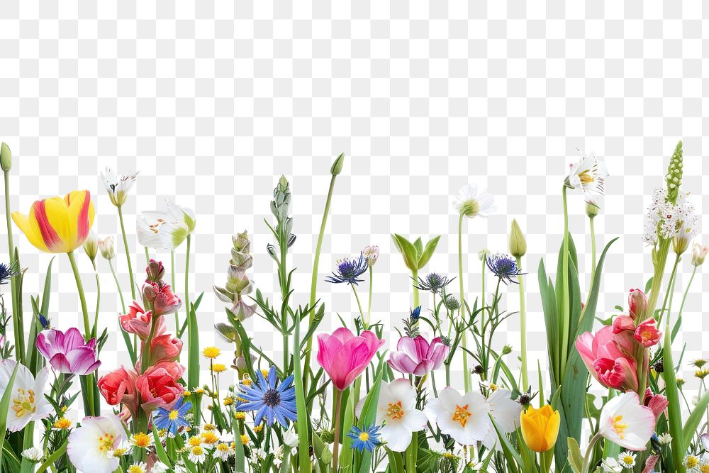 Colorful spring flowers border | Free PNG - rawpixel